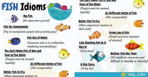 Fish Idioms Useful Fish Idioms And Phrases Esl