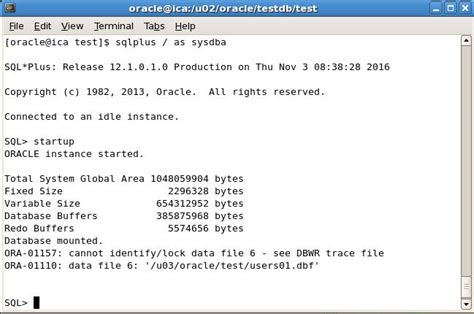 Recovering Datafiles Using Rman