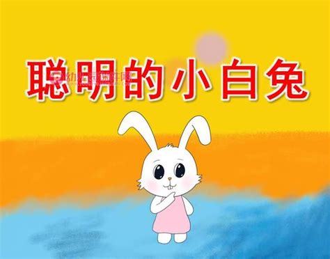 聪明的小白兔ppt课件图片幼儿园课件网