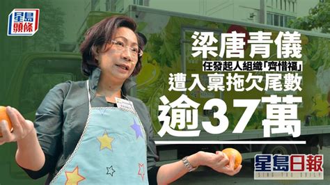 梁唐青儀發起「齊惜福」被追討工程尾數逾21萬 延至明年2月提堂 星島日報 Line Today