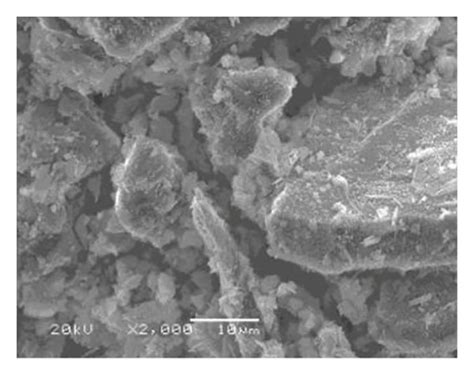 Sem Images And Corresponding Binary Pore Images After Different Curing