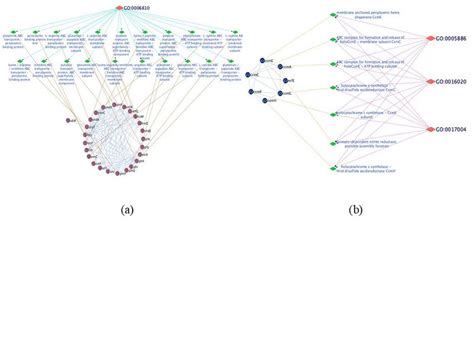 Matches Between Predicted Modules And Benchmark Go Annotations In The