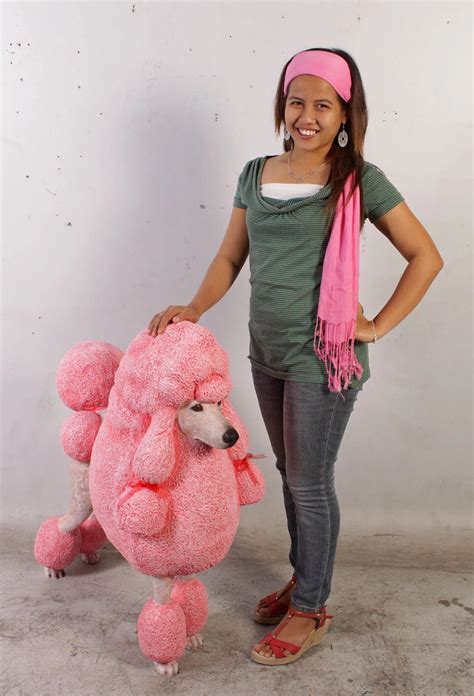 Life Size Pink Poodle Props La