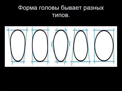 Конструкция головы человека и ее пропорции Форма головы презентация