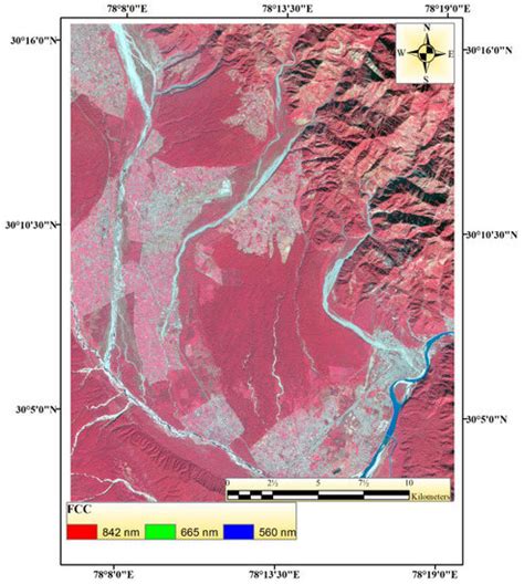 Remote Sensing Special Issue Earth Observation In Forest Biophysical Biochemical Parameter