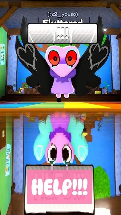 How Flutter Became Twisted Youtube