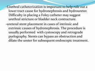 Hydronephrosis Pptx