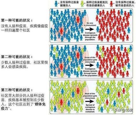 群體免疫，其實真的是科學。但是群體免疫的前提是要有疫苗 每日頭條