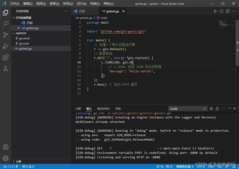 Vscode编写go语言 Gin框架搭建vscode Go Gin Csdn博客