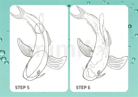 How To Draw A Koi Fish Step By Step How To Mimi Panda