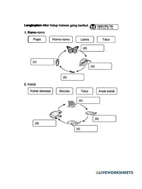 Latihan Sains Tahun 2 Pdf