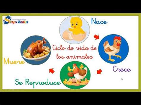 Tomi Digital Ciclo De Vida De Los Seres Vivos