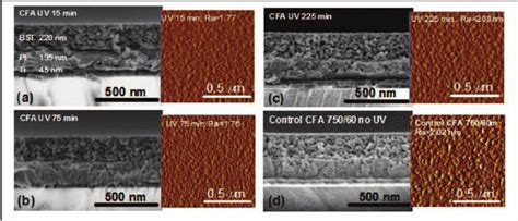 Cross Sectional Microstructure And Plan View Surface Morphology Of The