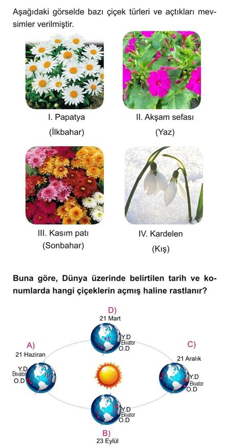 cevap lutfen pls tşk Eodev