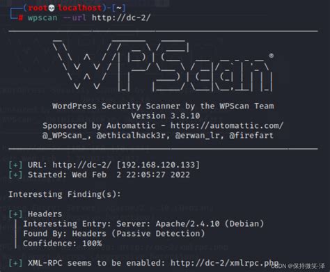 2022 渗透测试 推荐一款好用的网站漏洞扫描工具 Wpscan英文单词字典 渗透 Wpscan Csdn博客