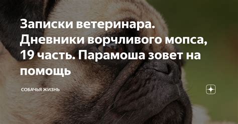 Записки ветеринара Дневники ворчливого мопса 19 часть Парамоша зовет на помощь СобачьЯ