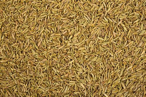 Kumin — Jak Wygląda Jak Go Stosować I Jakie Ma Właściwości
