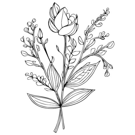 Premium Vector Pencil Realistic Wildflower Drawing Ink Sketch