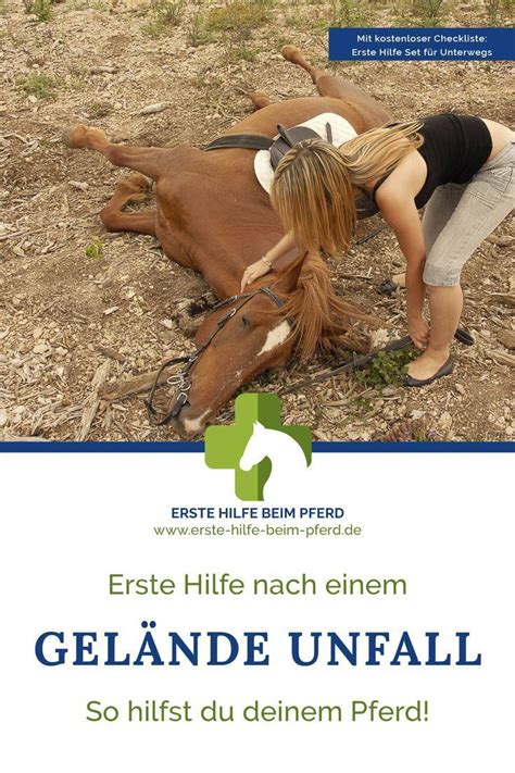 Erste Hilfe Pferd Artofit