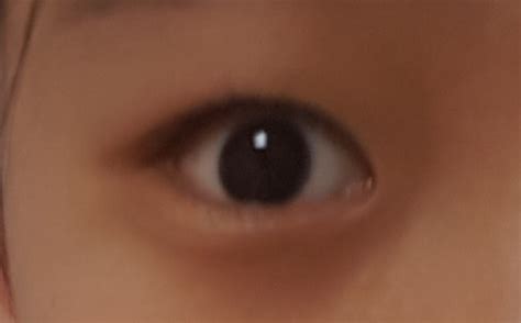 눈 동공크기 지식in
