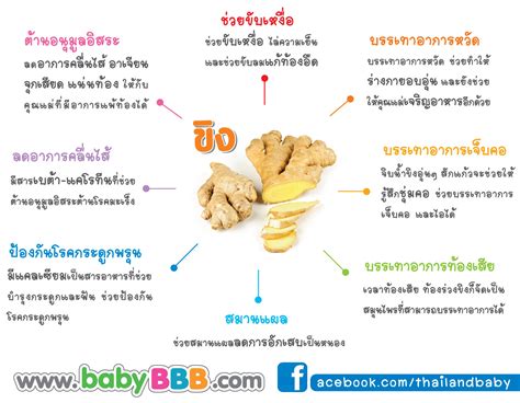 ขิง ดีกับแม่หลังคลอด