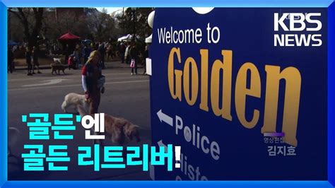 [오늘의 영상] ‘골든에 등장한 천 마리의 ‘골든 리트리버 Kbs 2023 03 02 Youtube