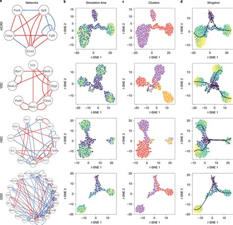 Visualization Of T Sne Projections Of Simulations Reveals Trajectories Download Scientific