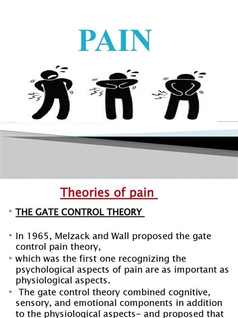Pain Pdf Pain Perception