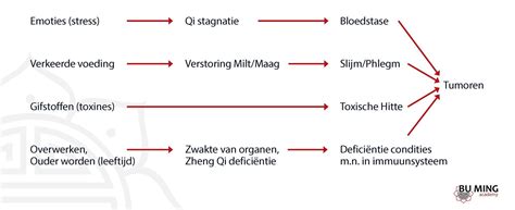 Belangrijke Oorzaken Van Kanker