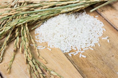 인명별 쌀 및 Paddy 더미 우드에 배경기술 0명에 대한 스톡 사진 및 기타 이미지 0명 건조한 날것 Istock