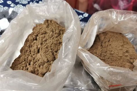 走进中医药文化芳草百味 DIY山楂丸快来一起丸转夏天吧