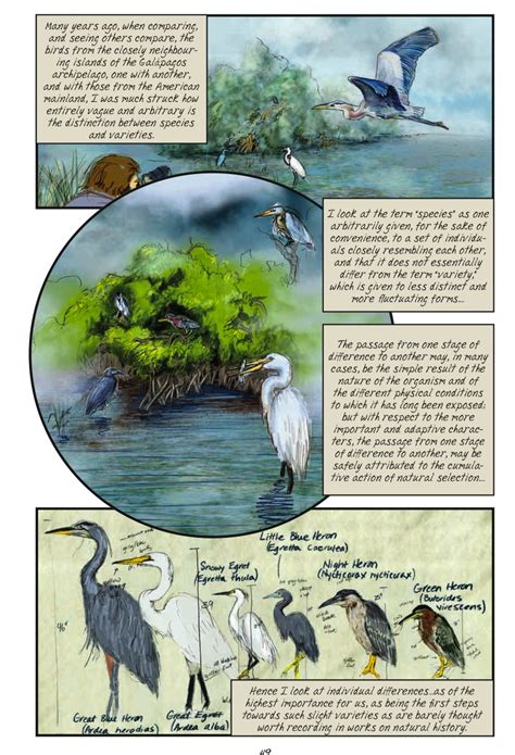 Review Charles Darwin S On The Origin Of Species A Graphic Adaptation