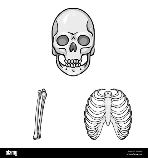 Vector Vectors Stock Vector Image Art Alamy