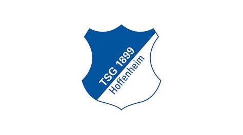 4000 Euro Geldstrafe für TSG Hoffenheim DFB Deutscher Fußball Bund e V