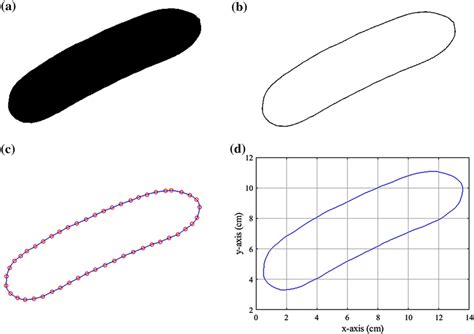 Image Processing And Boundary Detection Steps Download Scientific Diagram