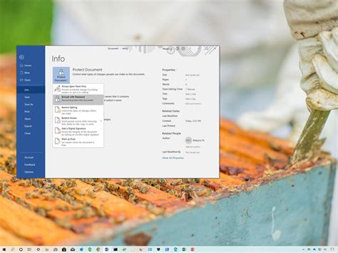How To Password Protect Microsoft Office Documents Windows Central