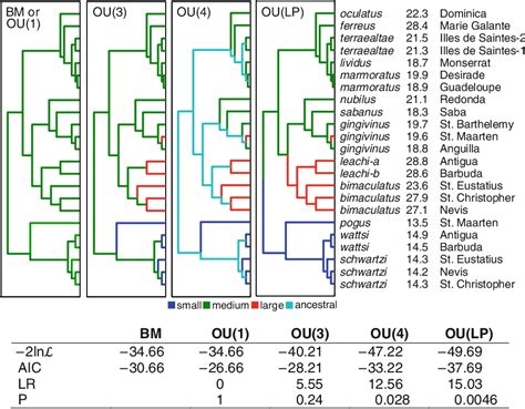Figure 12 3 From Modern Phylogenetic Comparative Methods And Their Application In Evolutionary
