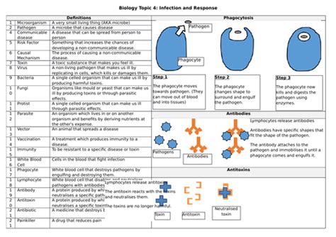 All Topics Knowledge Organisers Aqa 9 1 Gcse Science Trilogy Biology