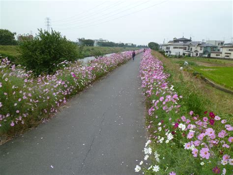 Tabirin
