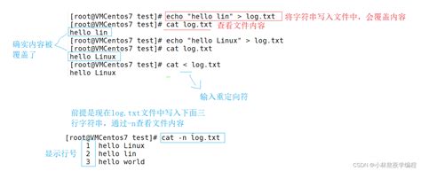 【linux系统编程】第四弹 基本指令二
