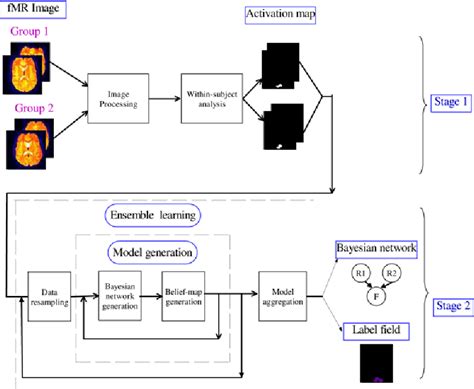 figure 2 from graphical model based multivariate analysis of functional