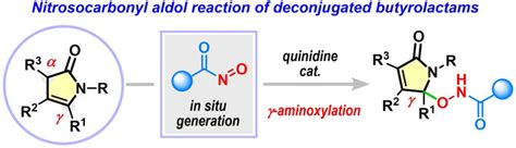 Regioselective Nitrosocarbonyl Aldol Reaction Of Deconjugated