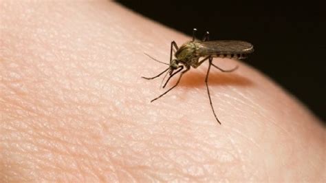 Оказывается, зубная паста решает многие проблемы! 10 полезностей ...