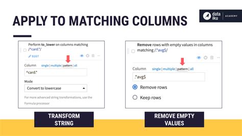 Concept Regular Expressions In Dataiku Dataiku Knowledge Base