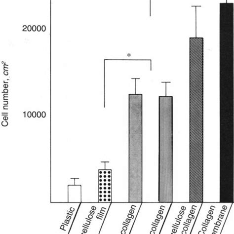 Growth Characteristics Of Glomerular Epithelial Cells Effects Of