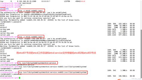 【kubernetes】二进制部署k8s集群之master节点和etcd数据库集群（上） masterandetcd csdn博客