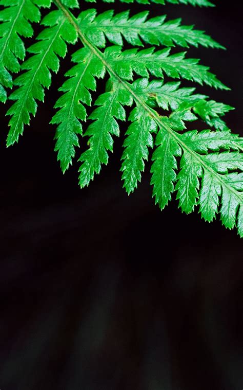 Samsung Galaxy Tab S Lite Wallpapers Hd