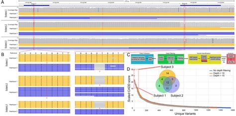 A Examination Of The Coverage Maps Of Exons 6 And 7 And The