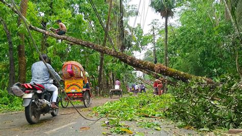 পিরোজপুরে ঝড়ে গাছ পড়ে একজনের মৃত্যু আহত ১৩