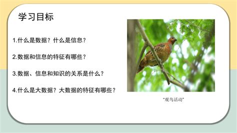 第一单元：项目一 探秘鸟类研究——认识数据、信息与知识 课件共30张ppt 2022—2023学年沪教版（2019）高中信息技术必修1